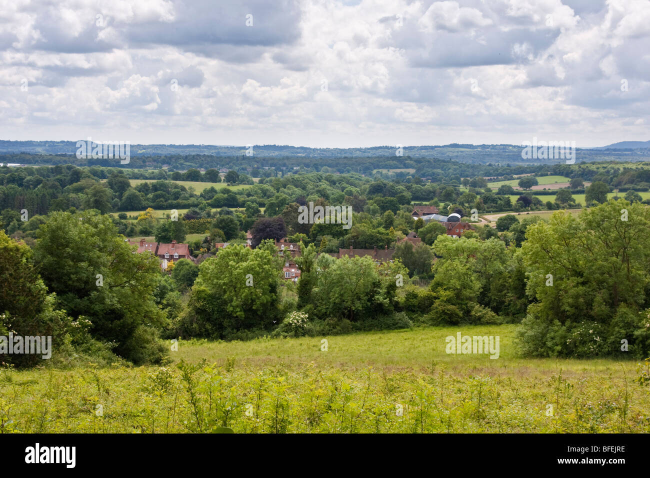 View over countryside in Surrey, England Stock Photo - Alamy