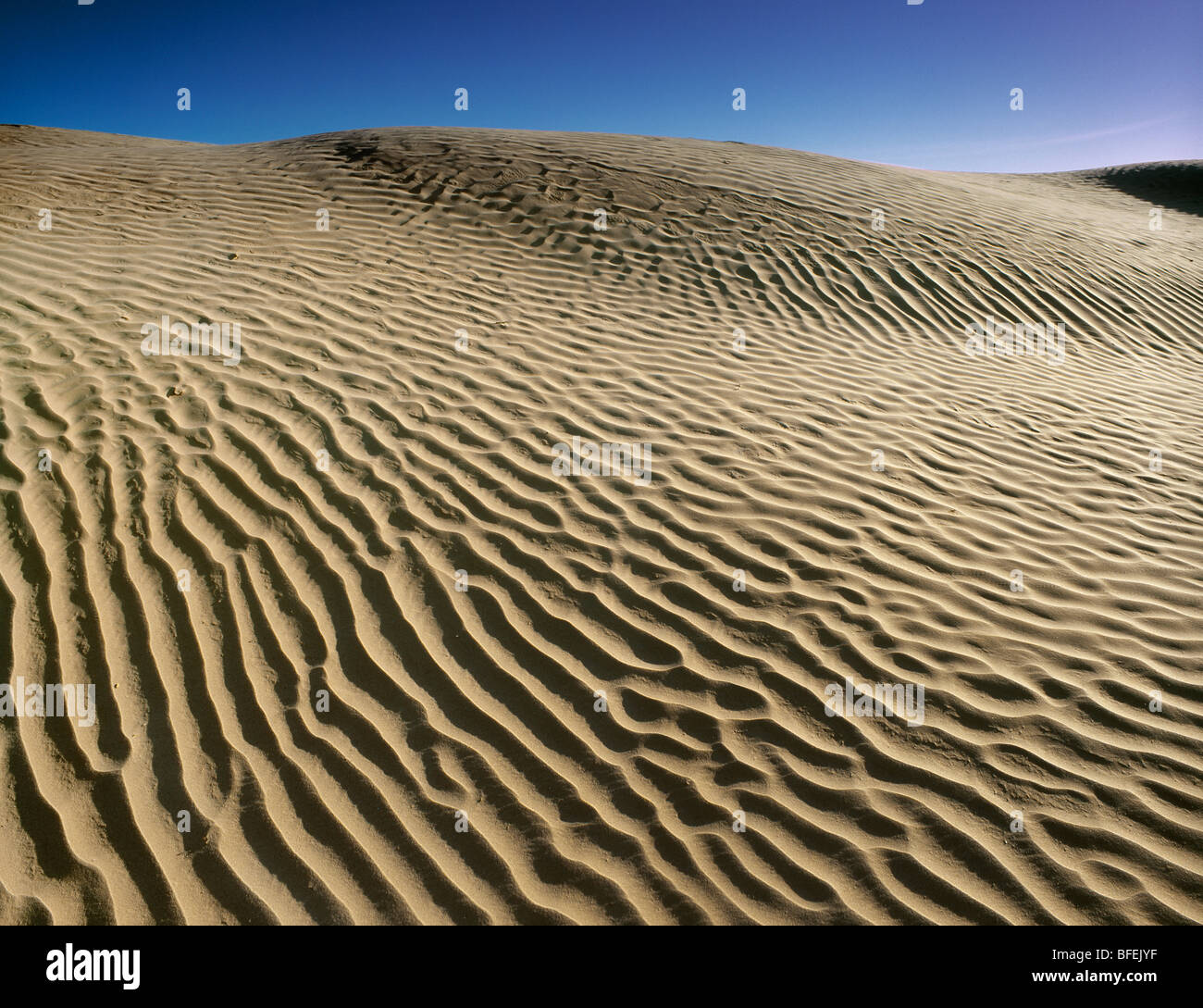 Sceptre saskatchewan hi-res stock photography and images - Alamy