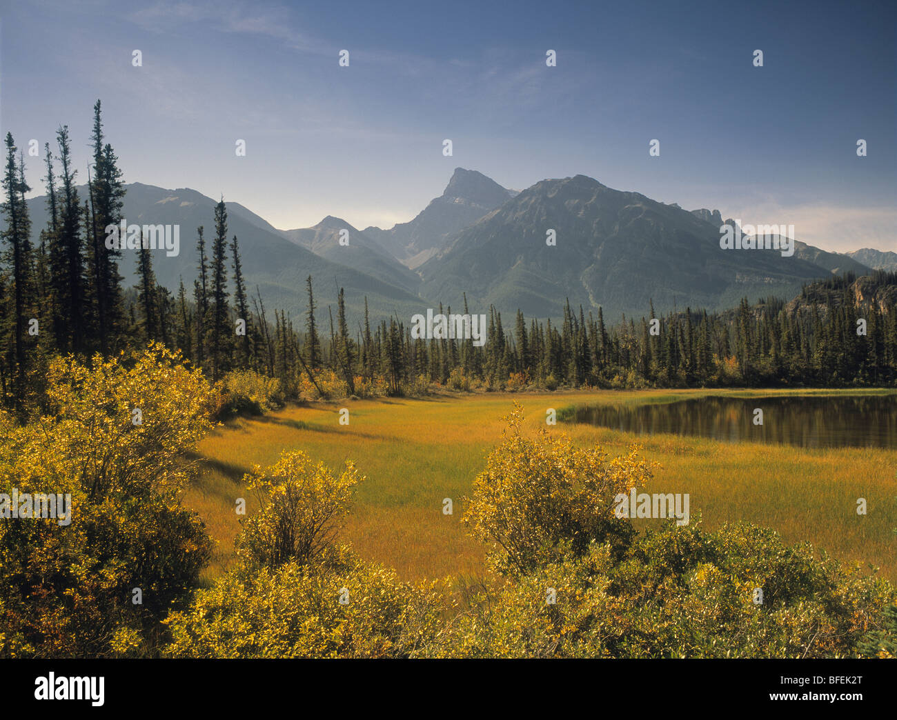 Kootenay plains ecological reserve hi-res stock photography and images ...