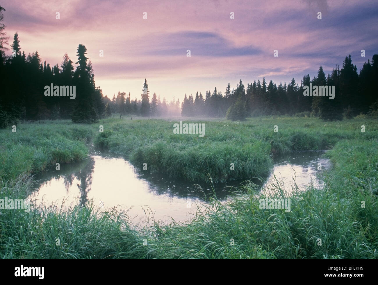 Boreal mountain hi-res stock photography and images - Alamy