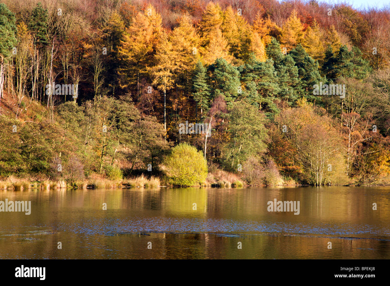Autumn at Fewston Reservoir Blubberhouses Yorkshire England Stock Photo ...