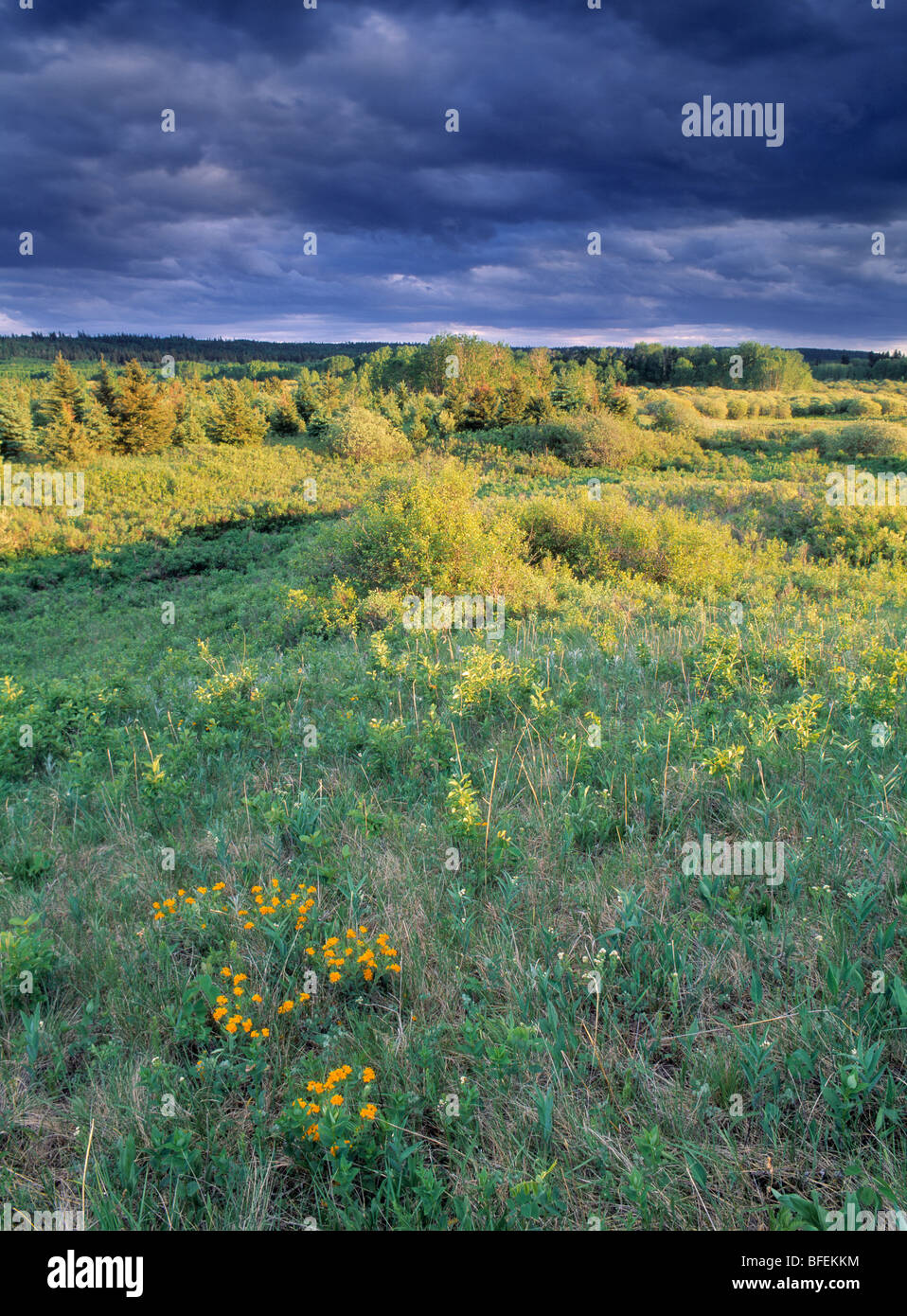 Valley a hi-res stock photography and images - Alamy