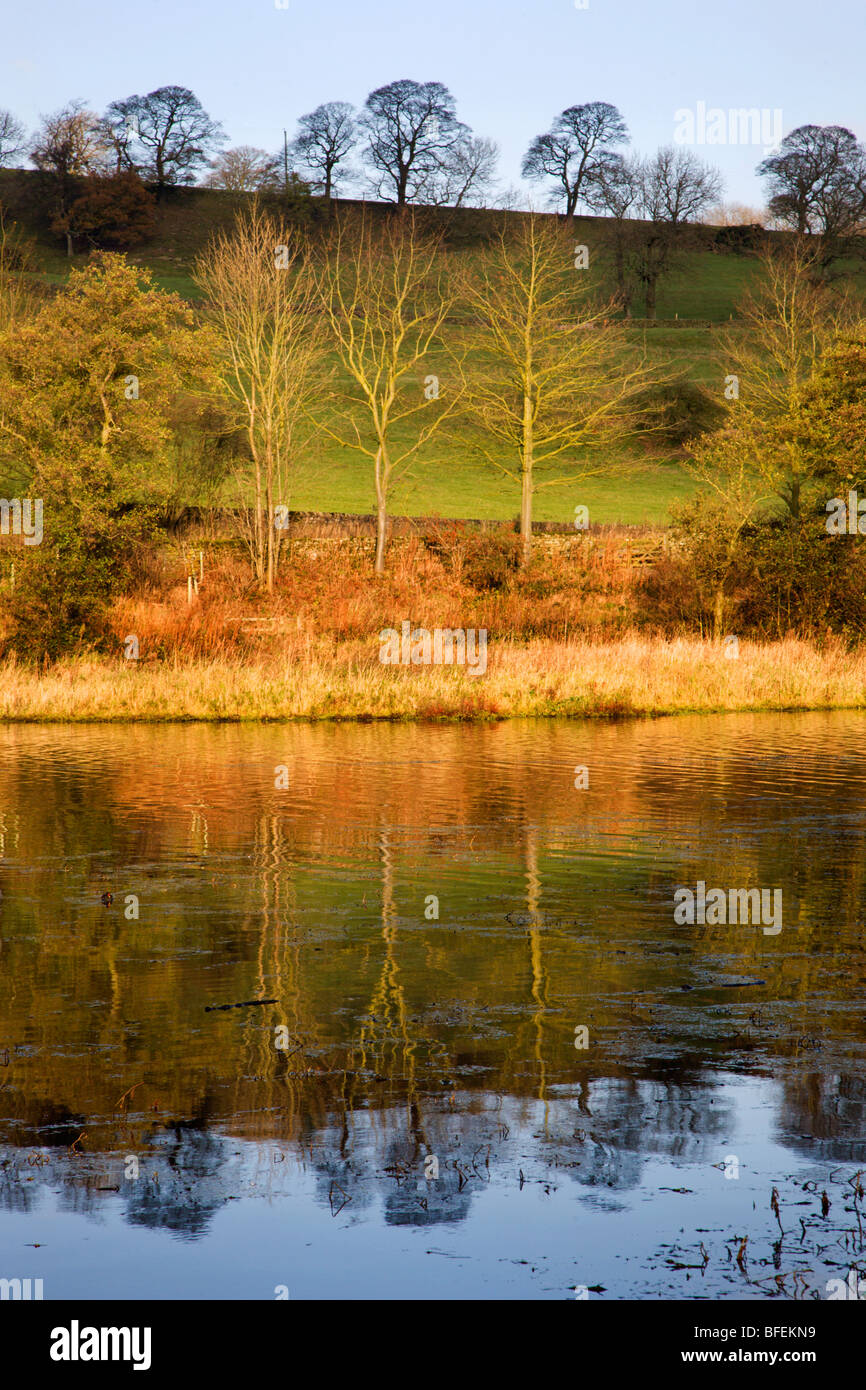 Autumn at Fewston Reservoir Blubberhouses Yorkshire England Stock Photo ...