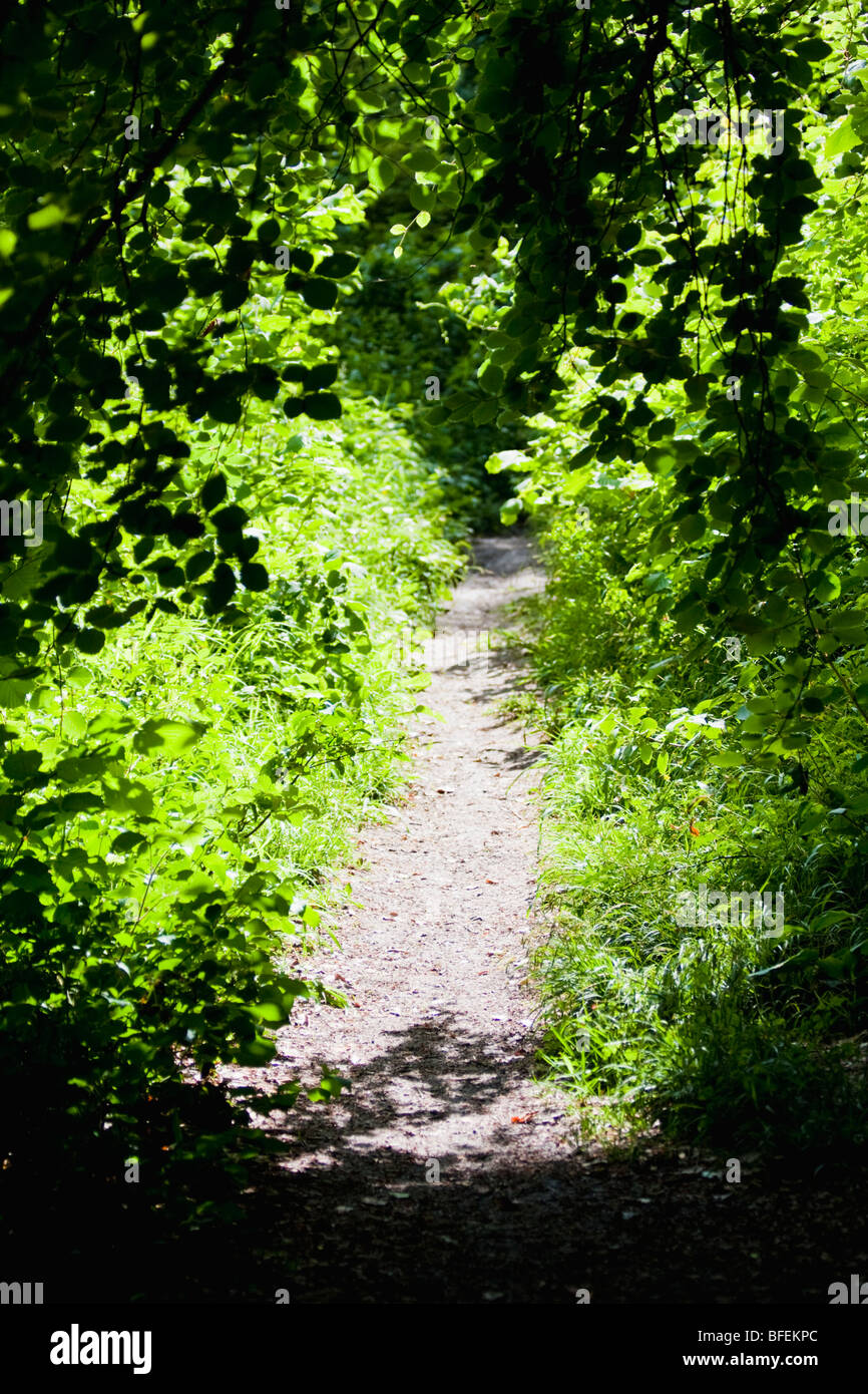 Countryside path around Selbourne, Hampshire England Stock Photo - Alamy