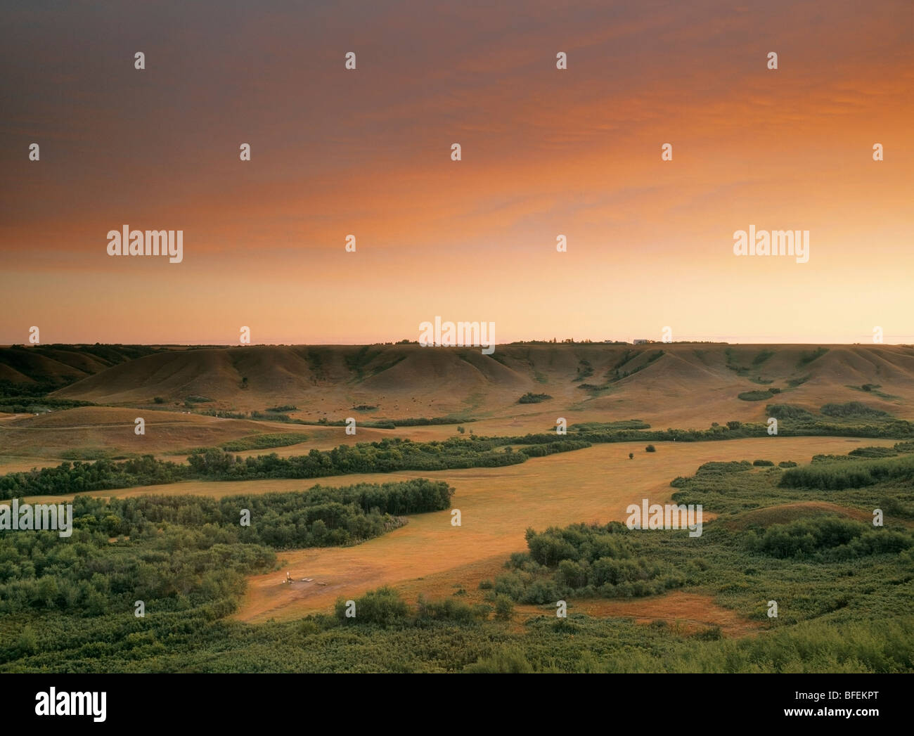 Quappelle saskatchewan hi-res stock photography and images - Alamy