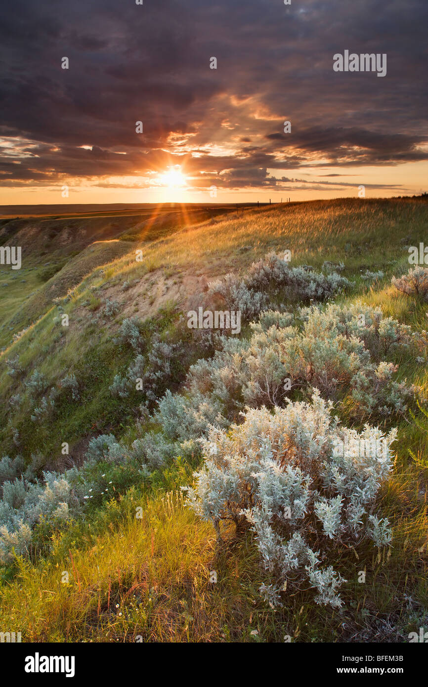 Checkerboard hill hi-res stock photography and images - Alamy