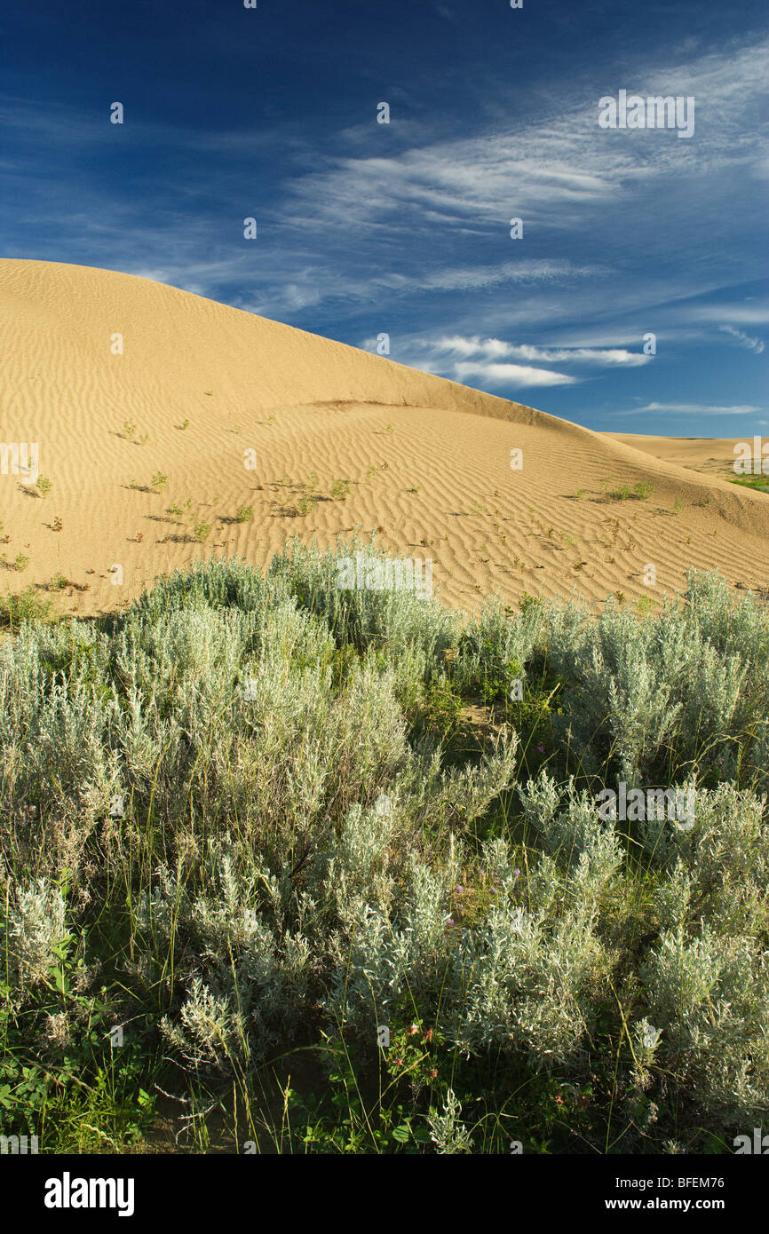 Sceptre Saskatchewan High Resolution Stock Photography and Images - Alamy