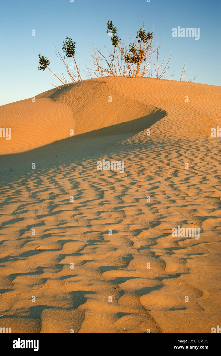 Sceptre Saskatchewan High Resolution Stock Photography and Images - Alamy