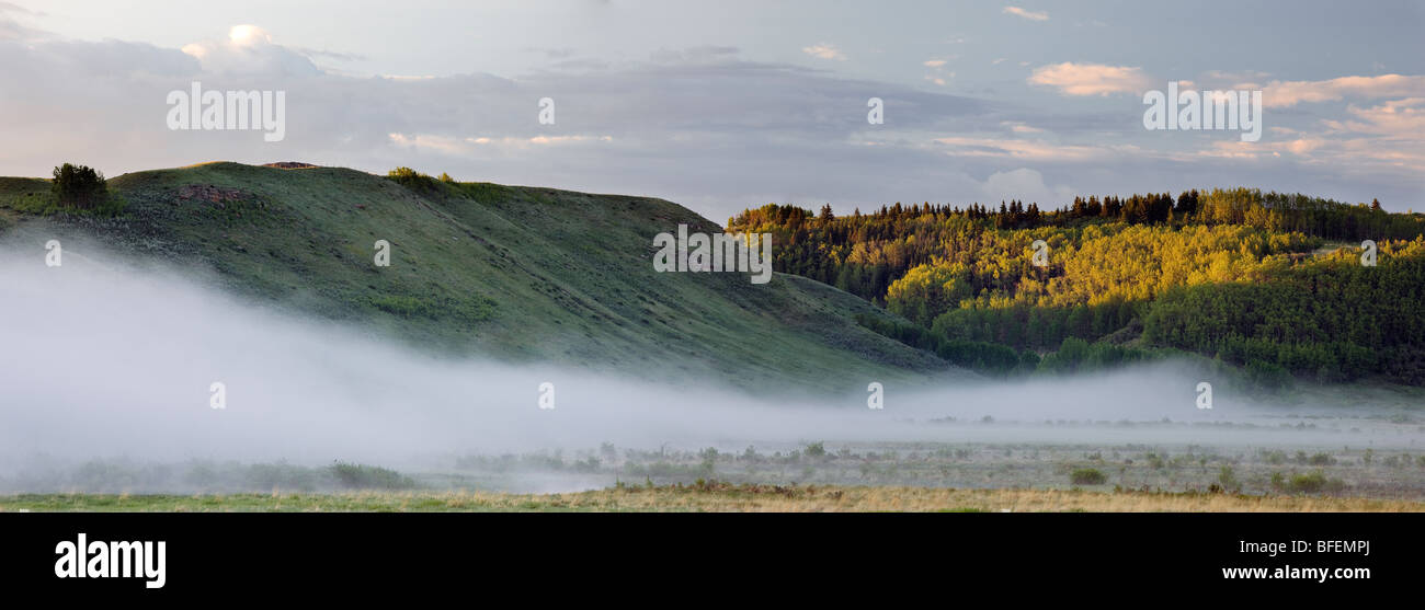 Big Hill Springs Provincial Park, Cochrane, Alberta, Canada Stock Photo ...