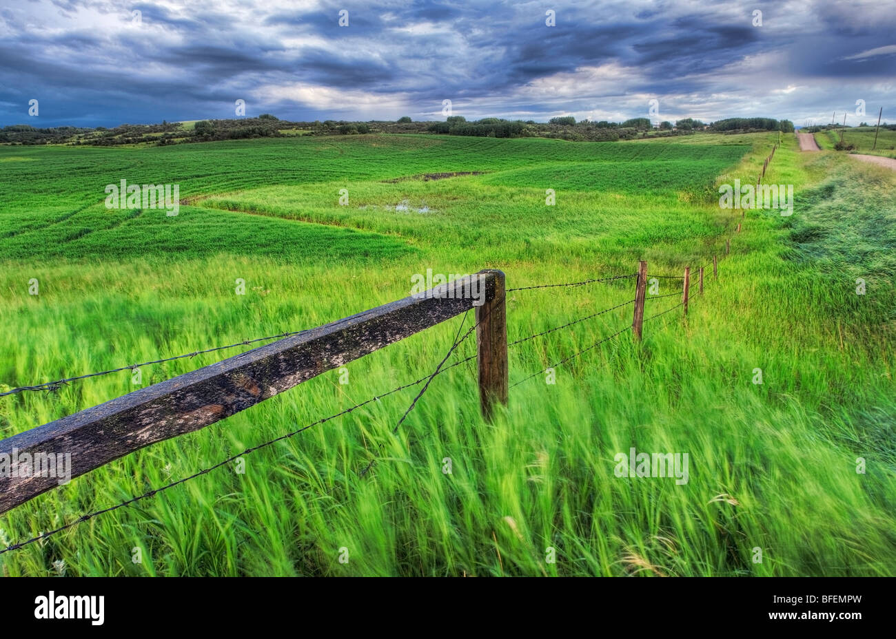 Wire fence country hi-res stock photography and images - Alamy