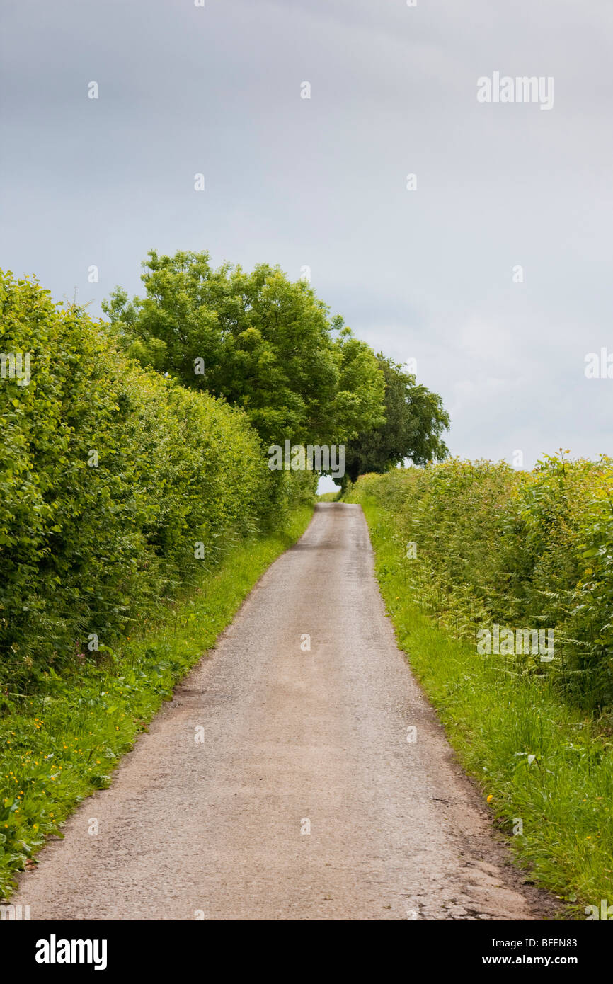 Southern lane hi-res stock photography and images - Alamy