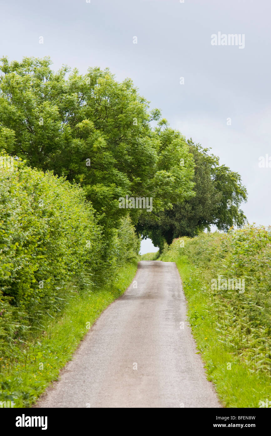 Country lane in England Stock Photo - Alamy