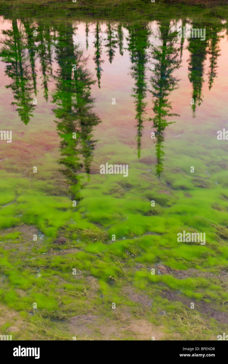 Unesco national park spring vertical hi-res stock photography and ...