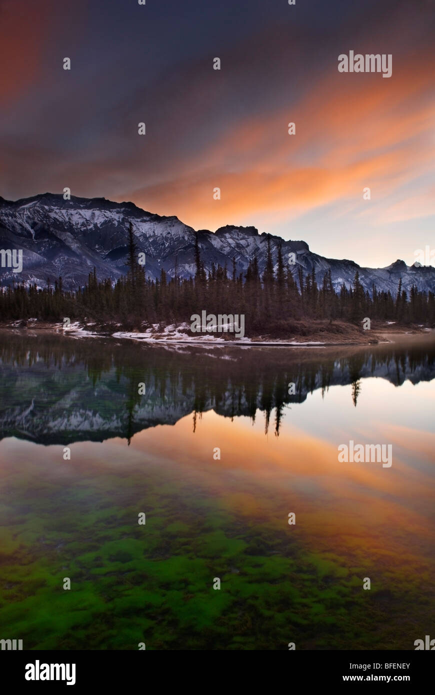 Unnamed hot spring, Miette Range, Jasper National Park, Alberta, Canada ...
