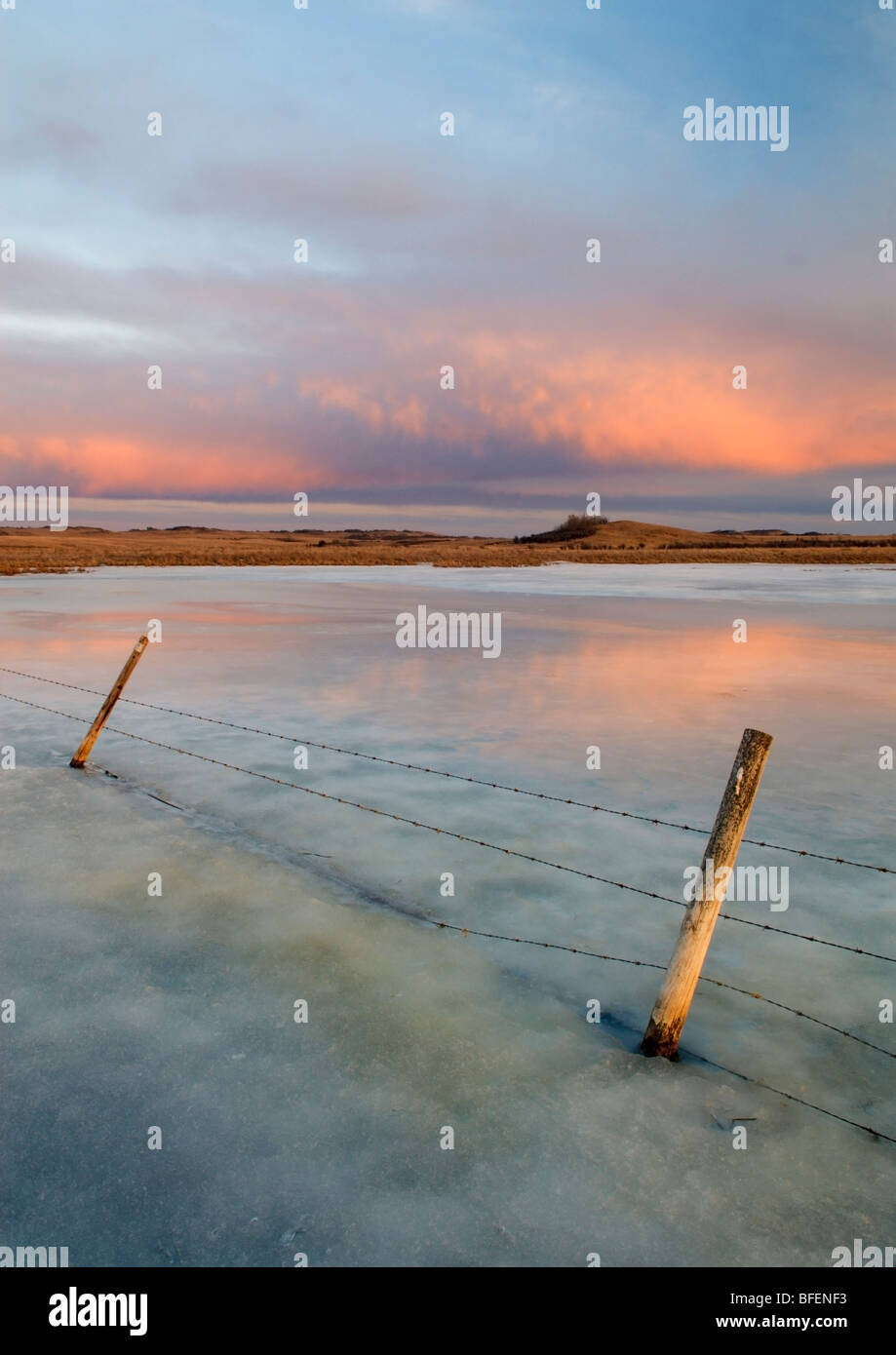 Ice slough hi-res stock photography and images - Alamy