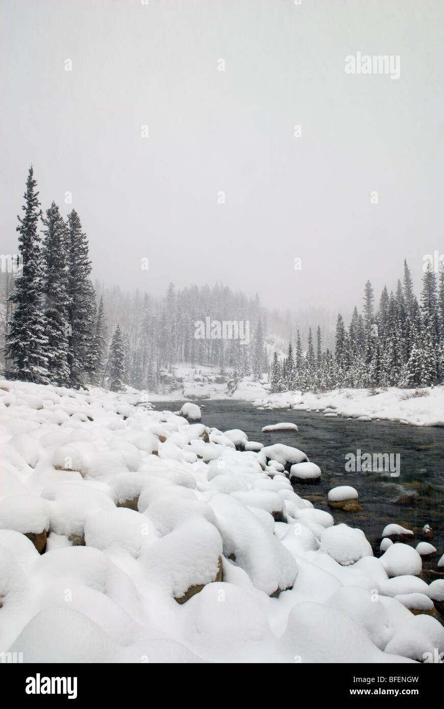 Elbow River, Elbow Falls, Kananaskis Country, Alberta, Canada Stock ...