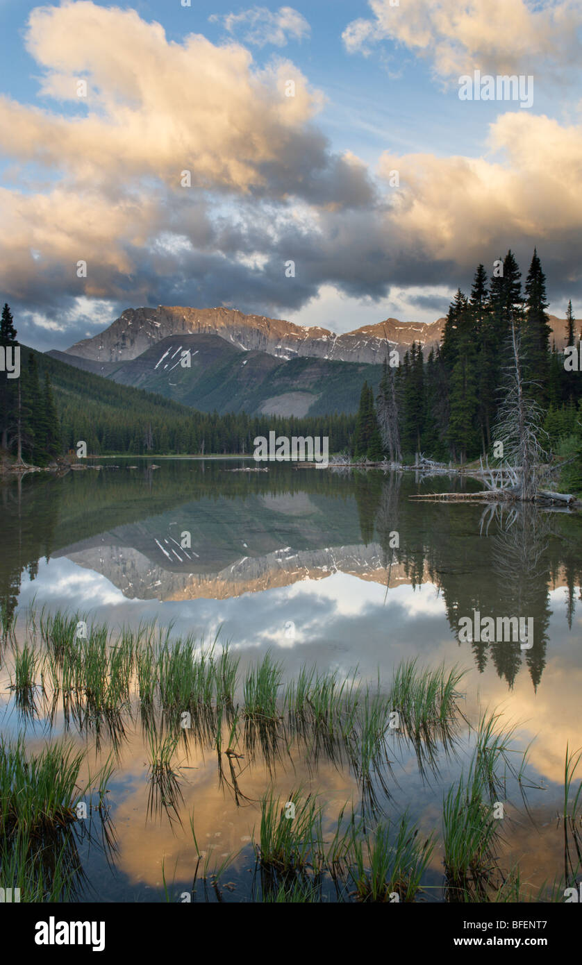 Elk Range, Elbow Lake, Kananaskis Country, Alberta, Canada Stock Photo ...