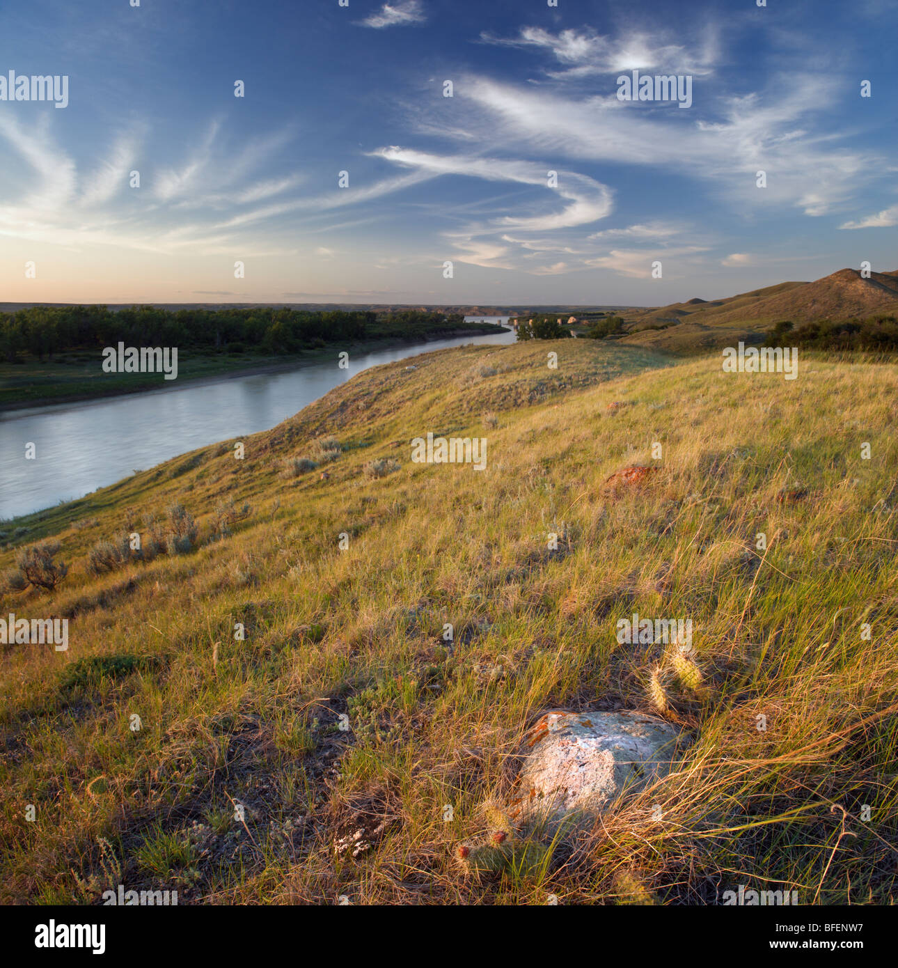 Leader saskatchewan hi-res stock photography and images - Alamy