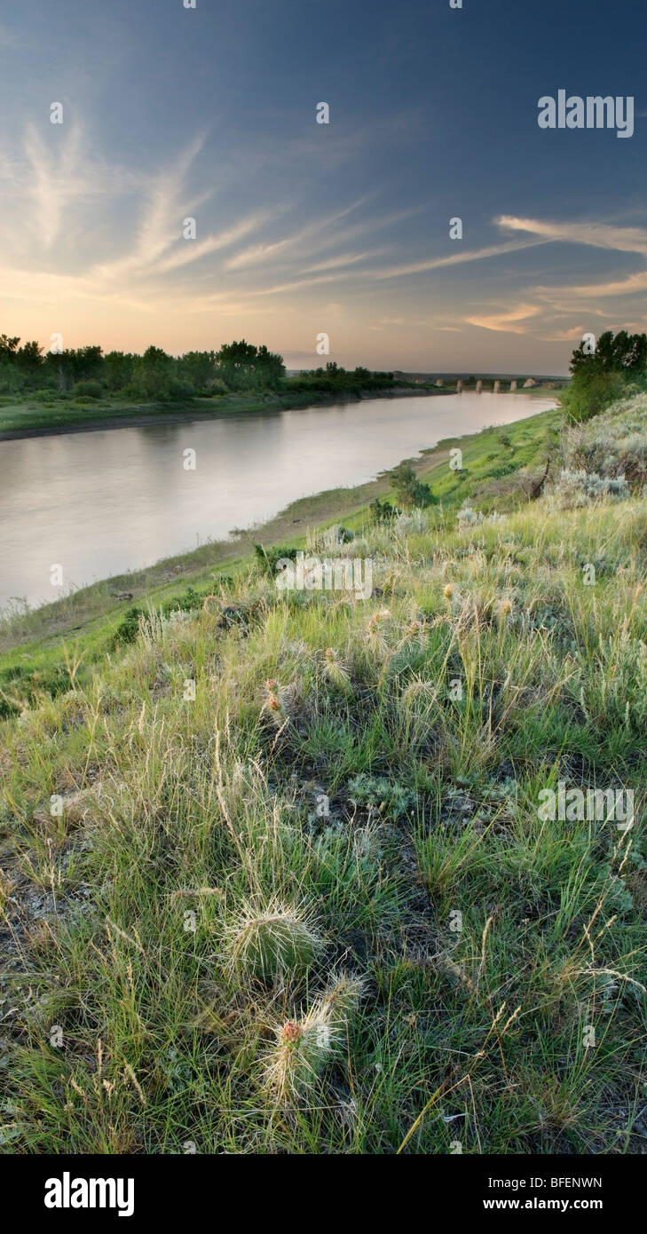 Saskatc hi-res stock photography and images - Alamy