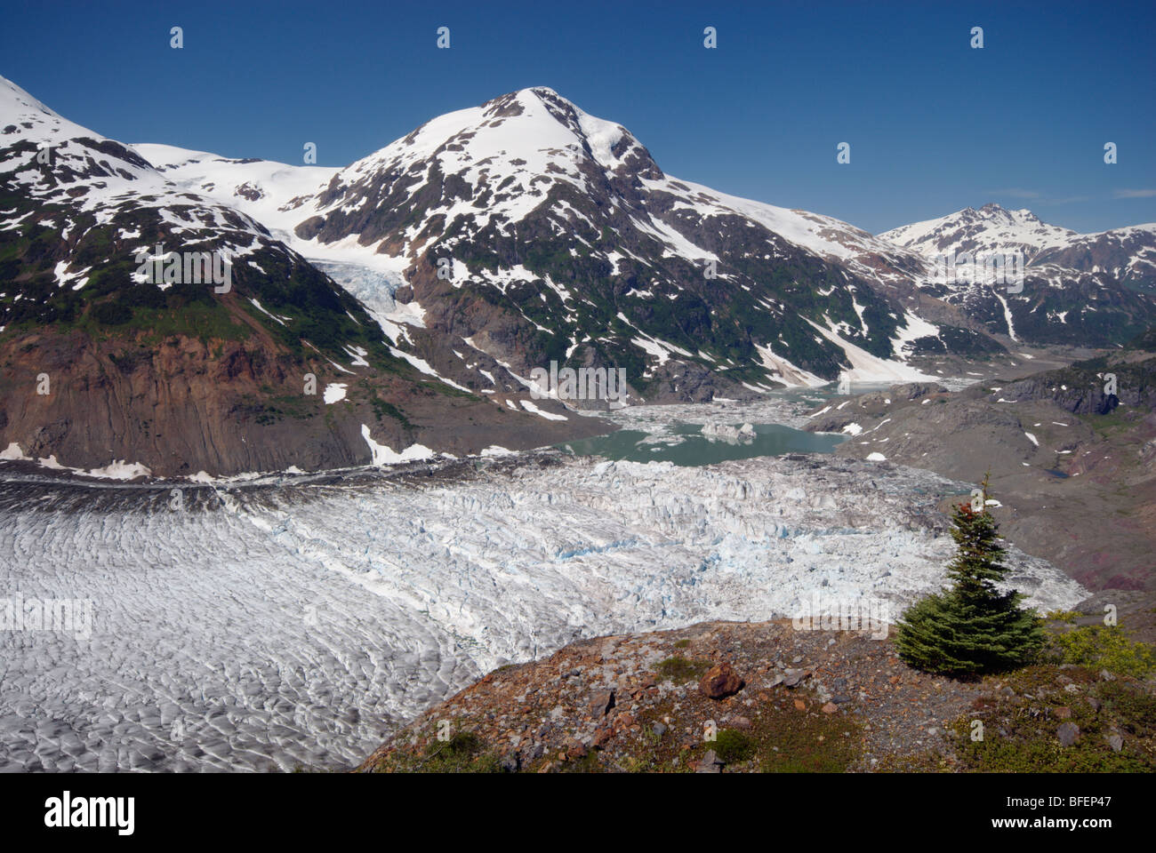 Salmon Glacier, British Columbia, Canada Stock Photo - Alamy