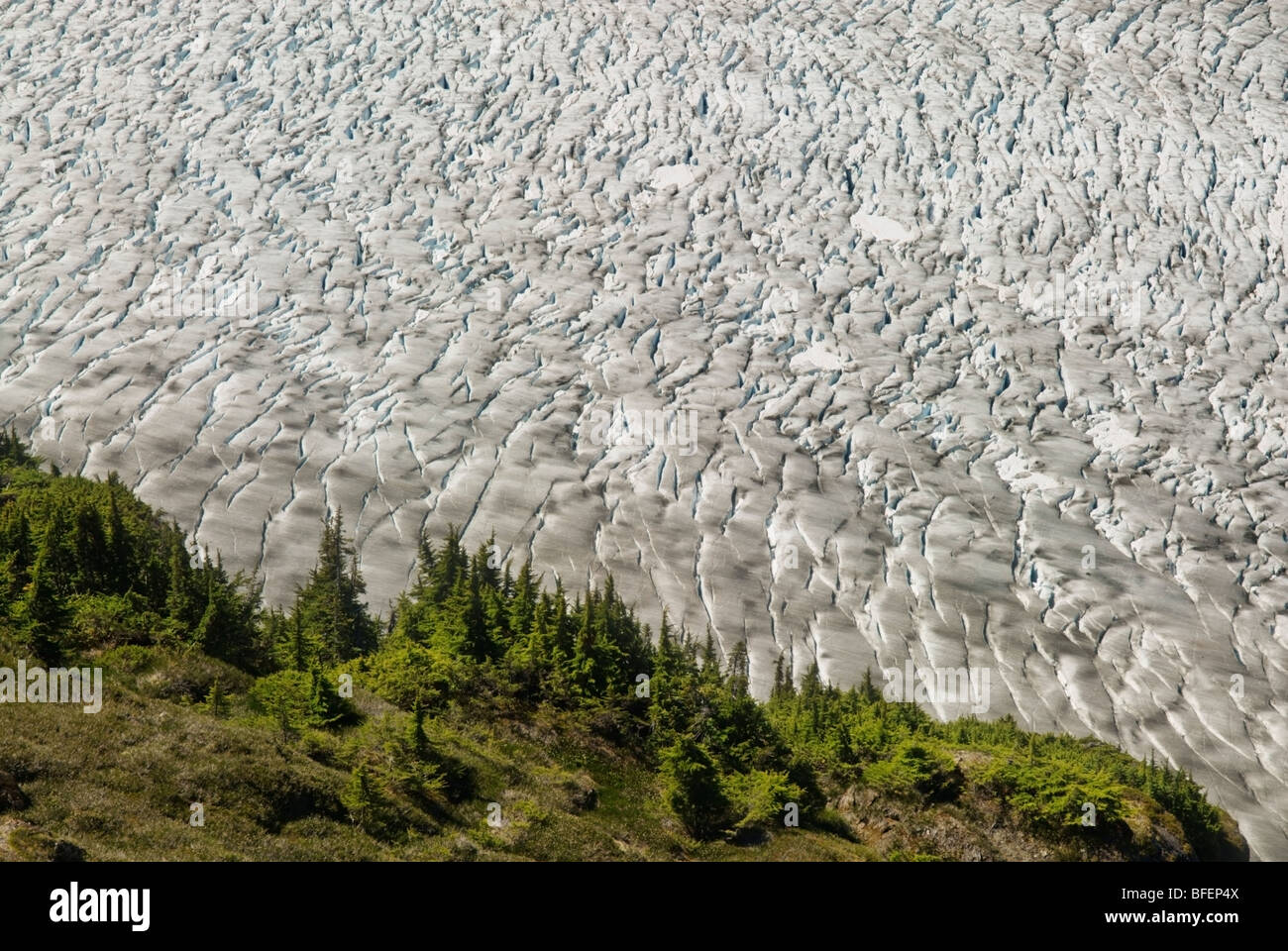 Canada salmon glacier hi-res stock photography and images - Alamy
