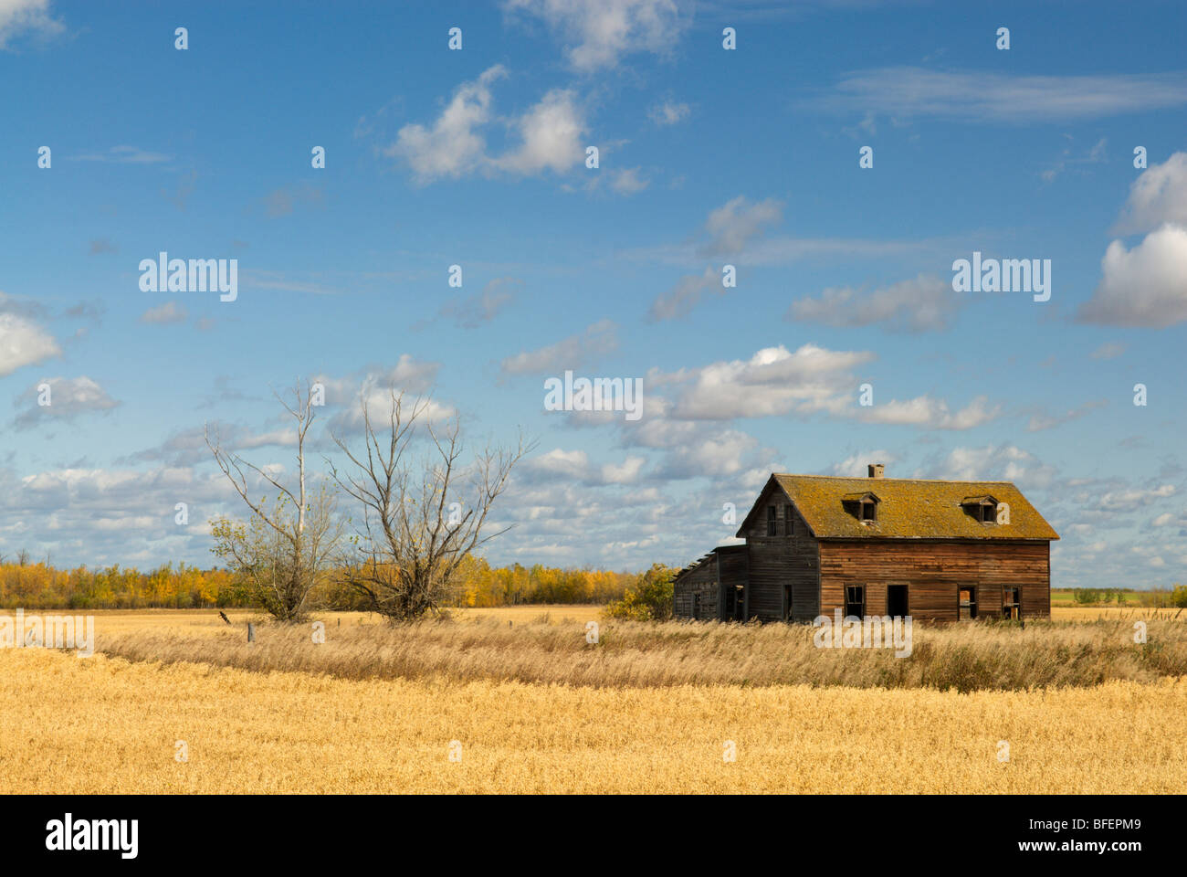 Fort saskatchewan alberta hi-res stock photography and images - Alamy