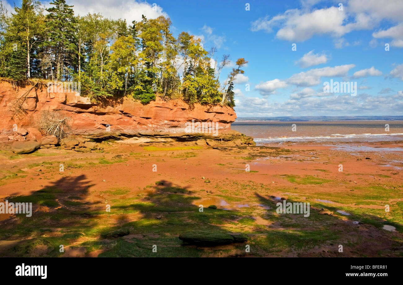Burntcoat Head Park, Cobequid Bay, Nova Scotia, Canada Stock Photo - Alamy