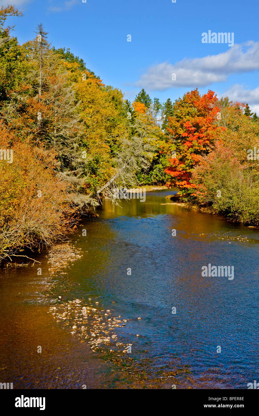 Debert river in autumn hi-res stock photography and images - Alamy