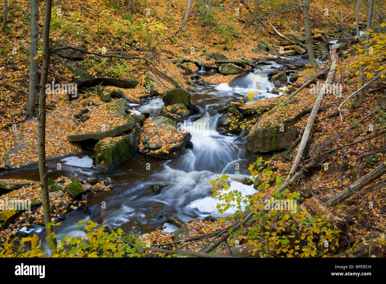 Grindstone trails hi-res stock photography and images - Alamy