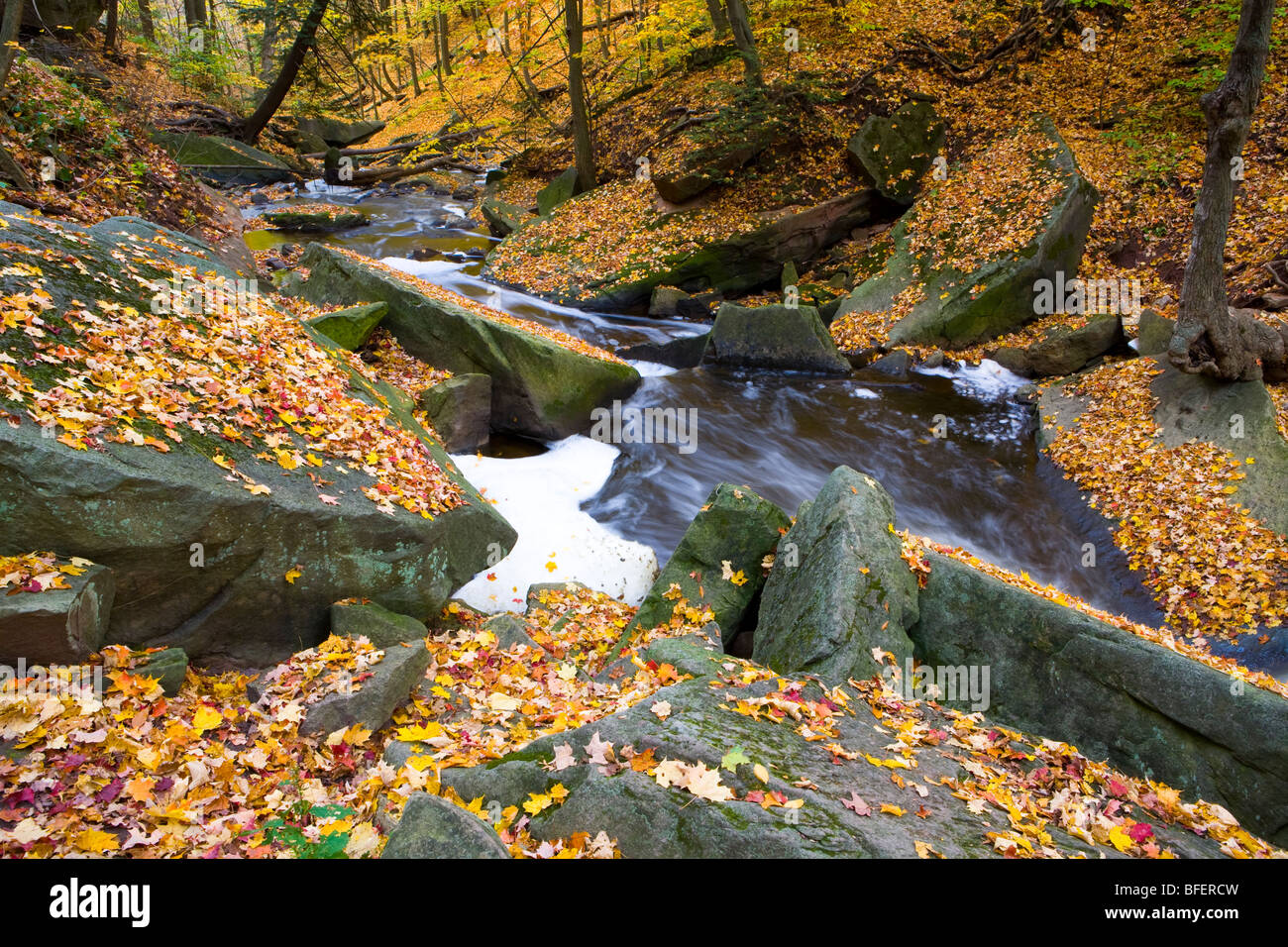 Grindstone Creek in fall, Niagara Escarpment, Bruce Trail, Hamilton ...