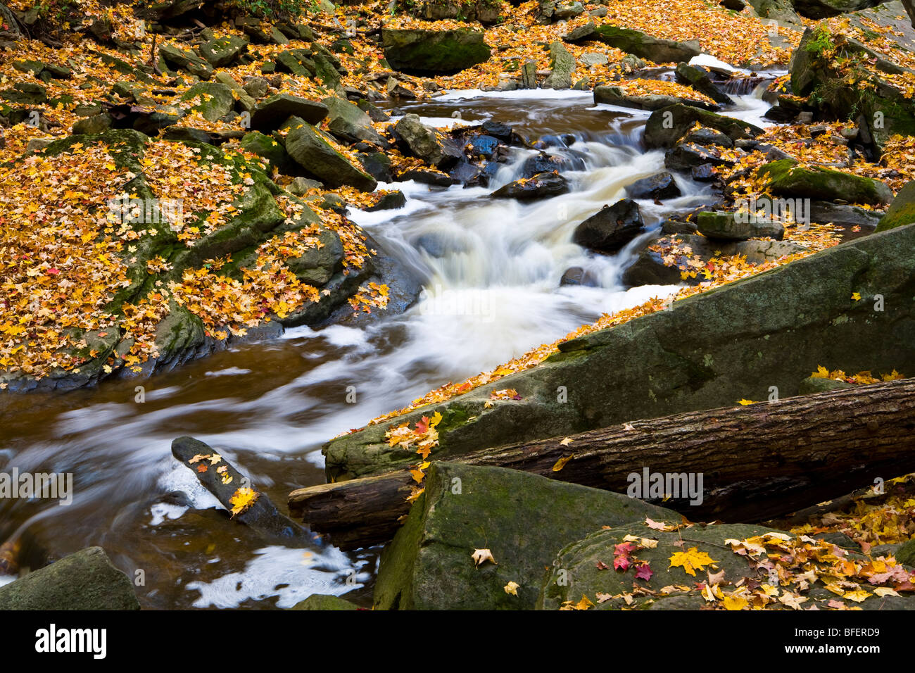 Grindstone Creek in fall, Niagara Escarpment, Bruce Trail, Hamilton ...