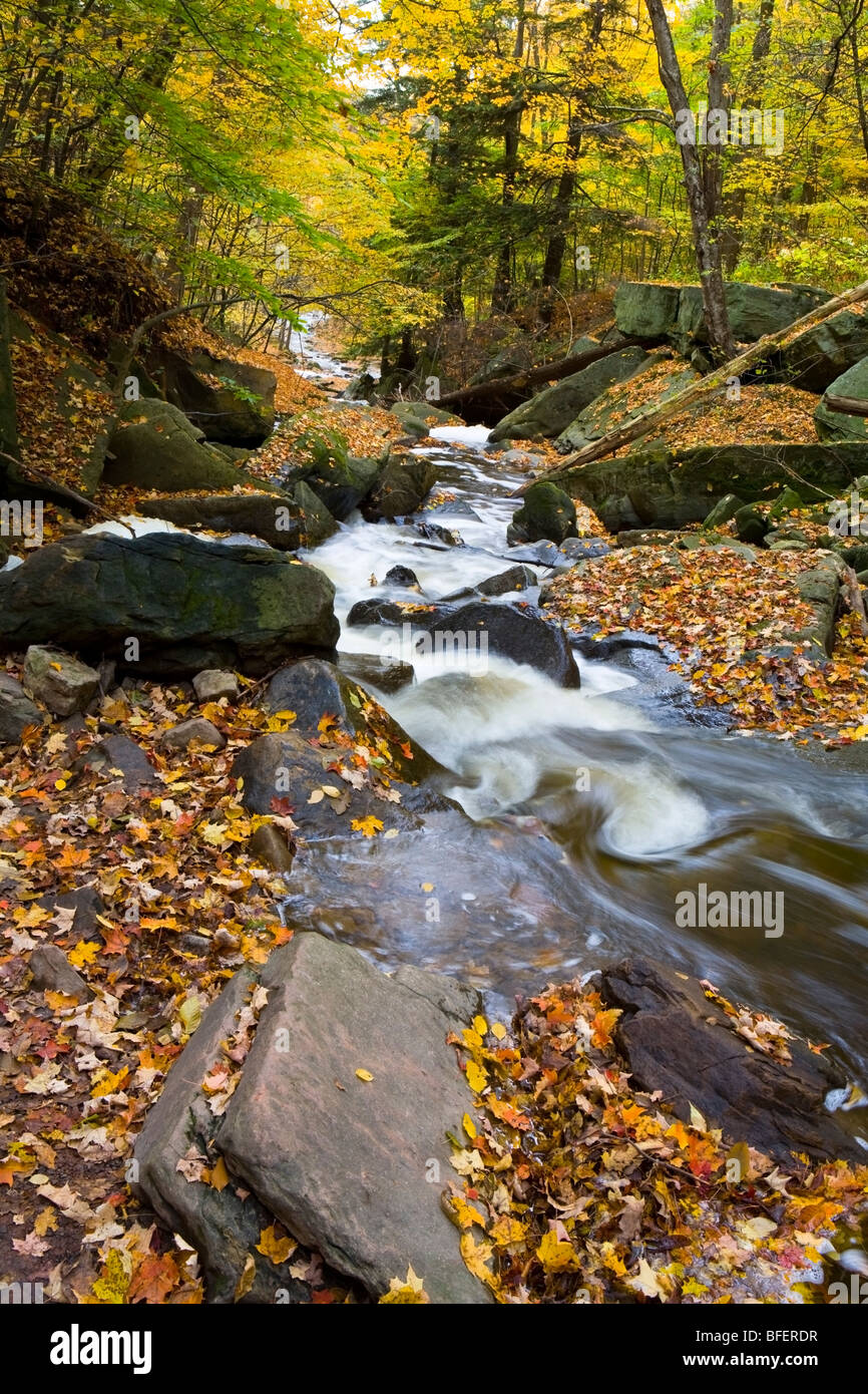 Grindstone Creek in fall, Niagara Escarpment, Bruce Trail, Hamilton ...