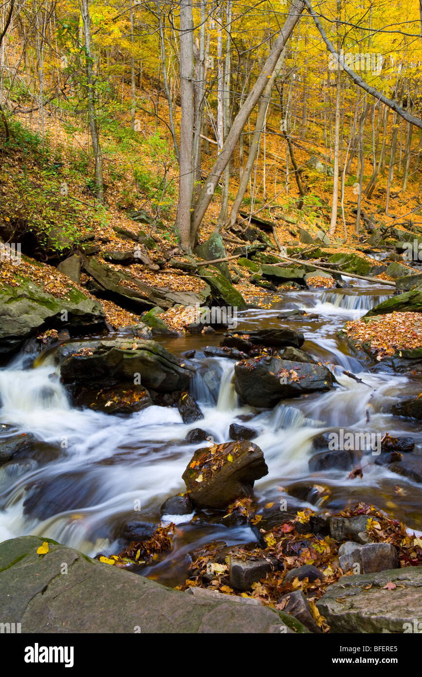 Grindstone trails hi-res stock photography and images - Alamy
