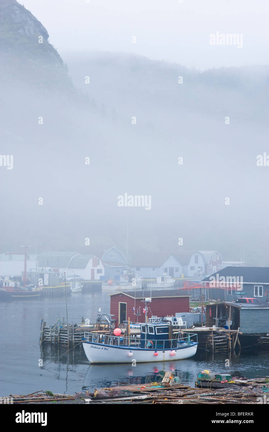 Petty Harbour, Newfoundland, Canada Stock Photo - Alamy