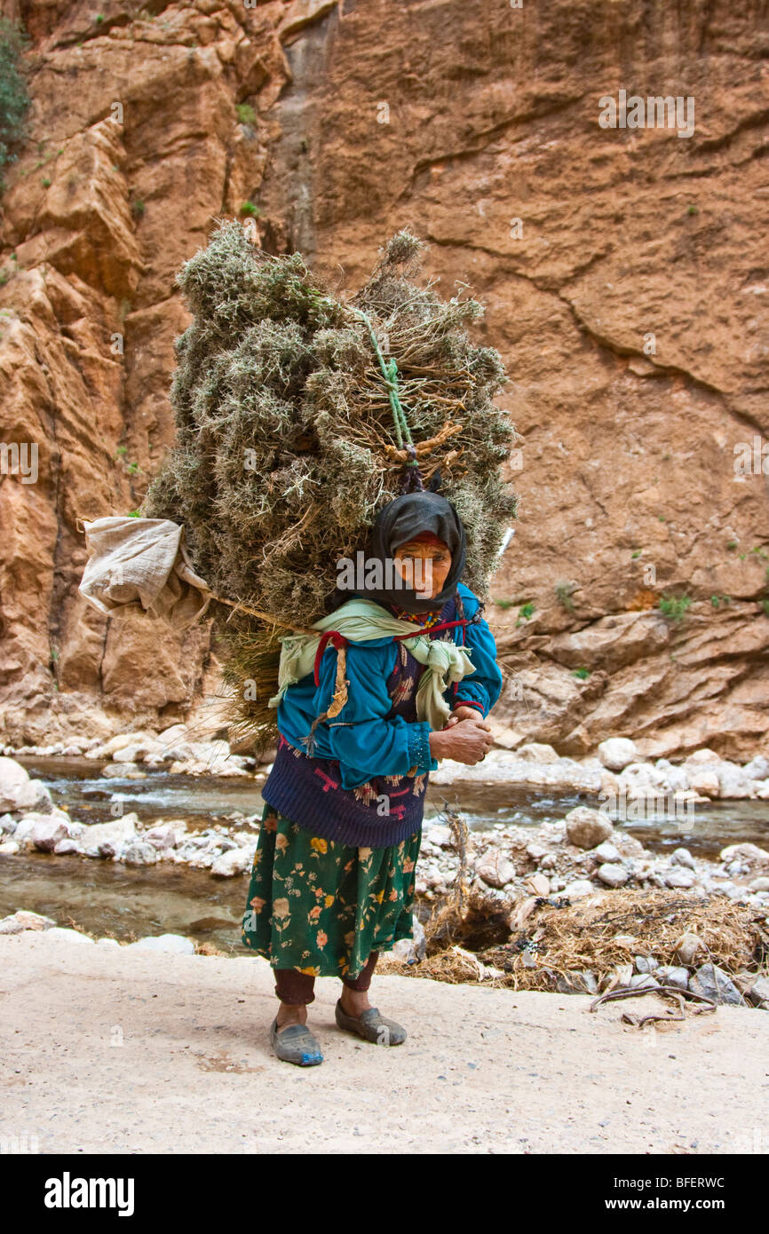 Old woman carrying heavy load hi-res stock photography and images - Alamy