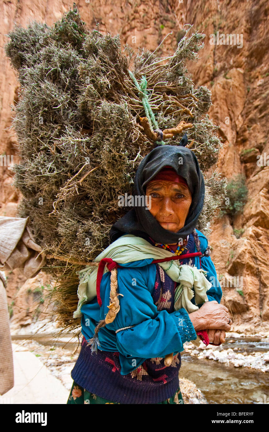 Old woman carrying heavy load hi-res stock photography and images - Alamy