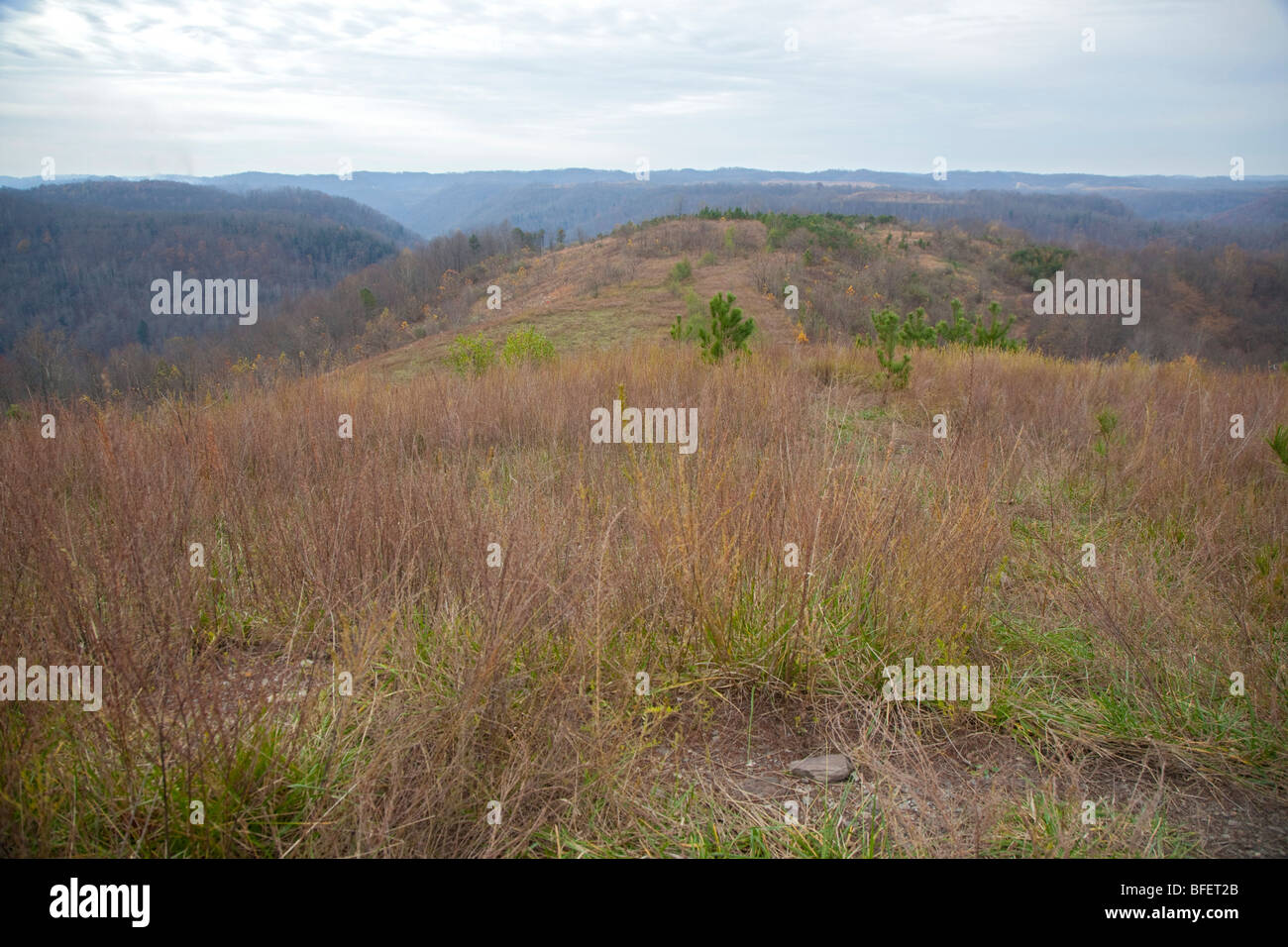 Coal Mine Reclamation Stock Photo - Alamy