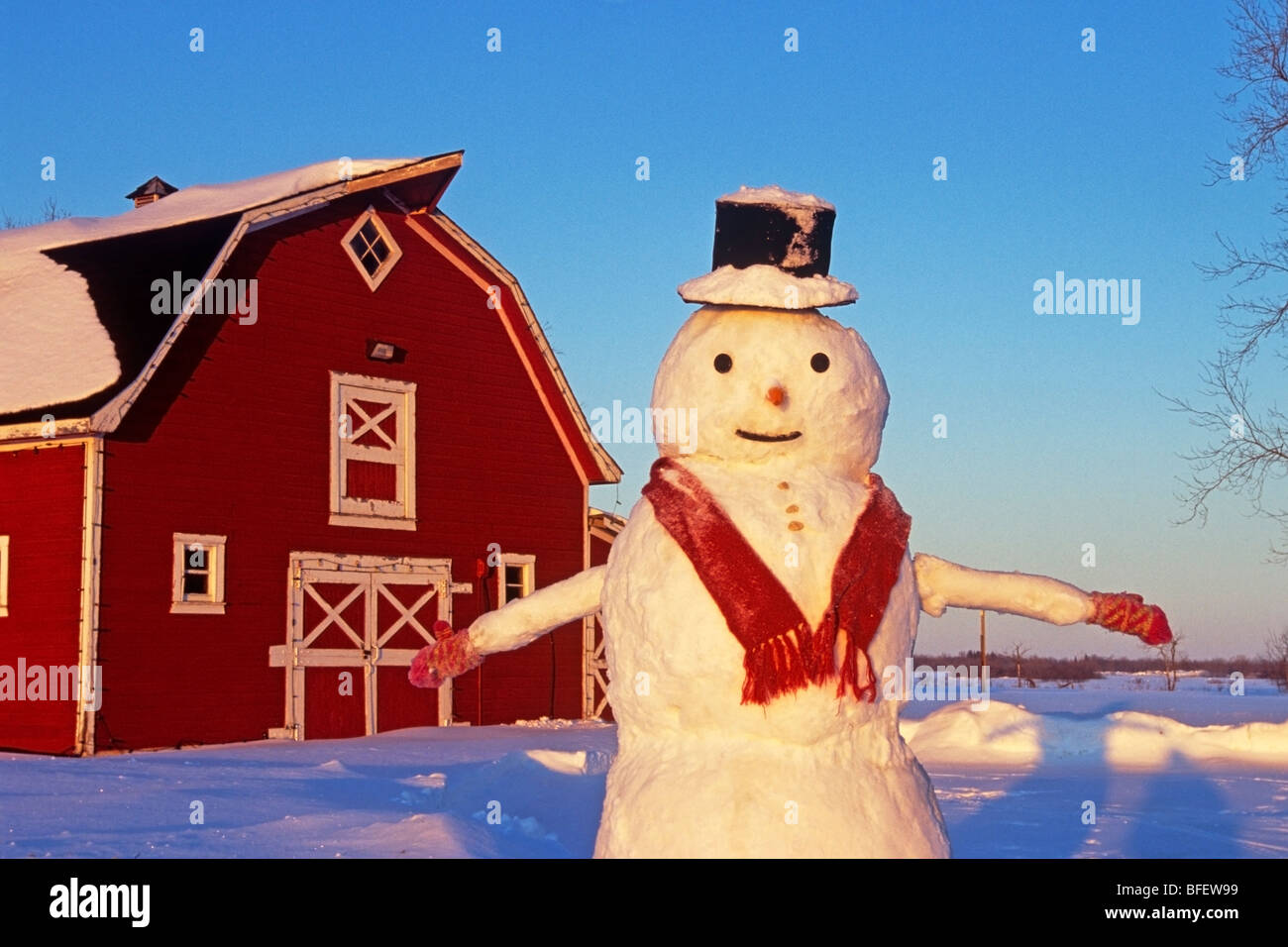 Snowman in front of red barn near Oakbank, Manitoba, Canada Stock Photo ...