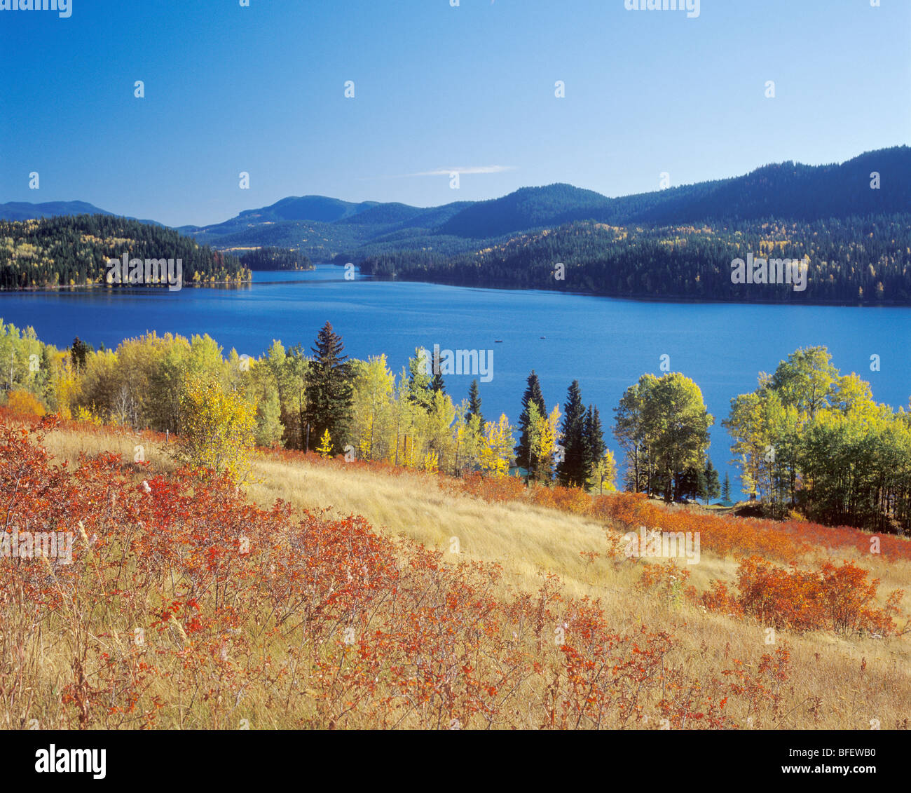 Lac des Roches in fall colors, located East of 100 Mile House on ...