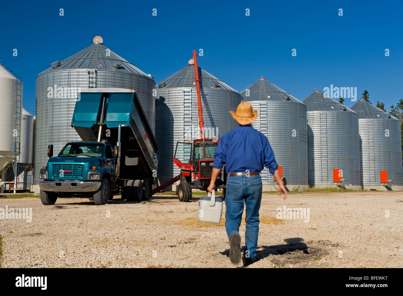 Farmer with a lunch box walks towards his truck while unloading grain ...