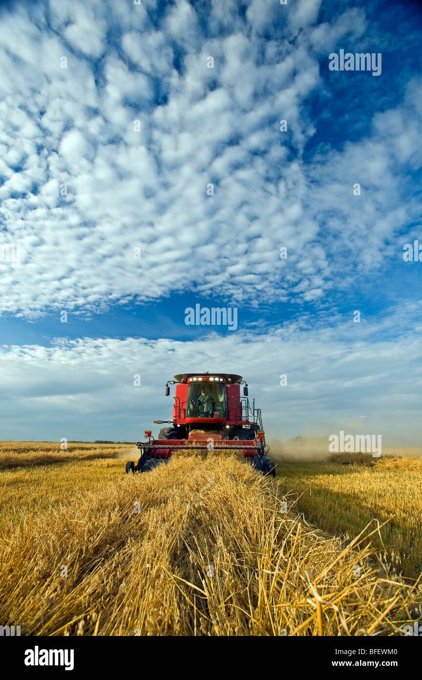 Male farmer near combine hi-res stock photography and images - Alamy