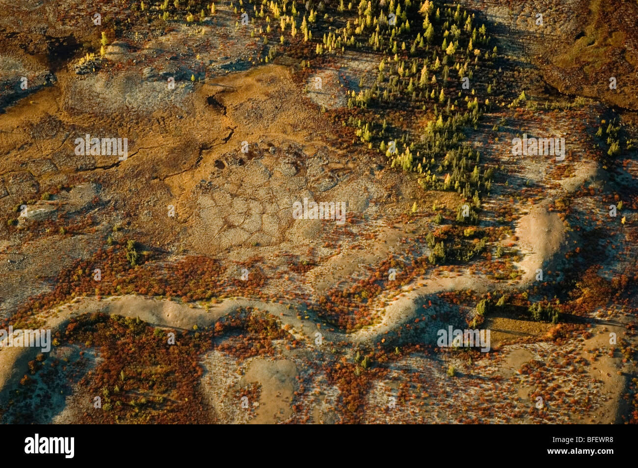 Barren Lands landscape showing esker near Whitefish Lake, Northwest ...
