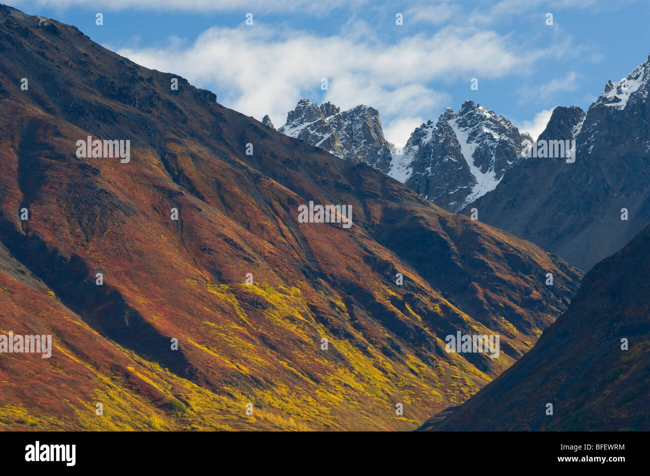 Autumn scenic, Denali National Park, Alaska, USA Stock Photo - Alamy