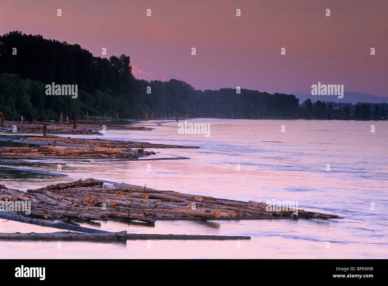 Haney hi-res stock photography and images - Alamy