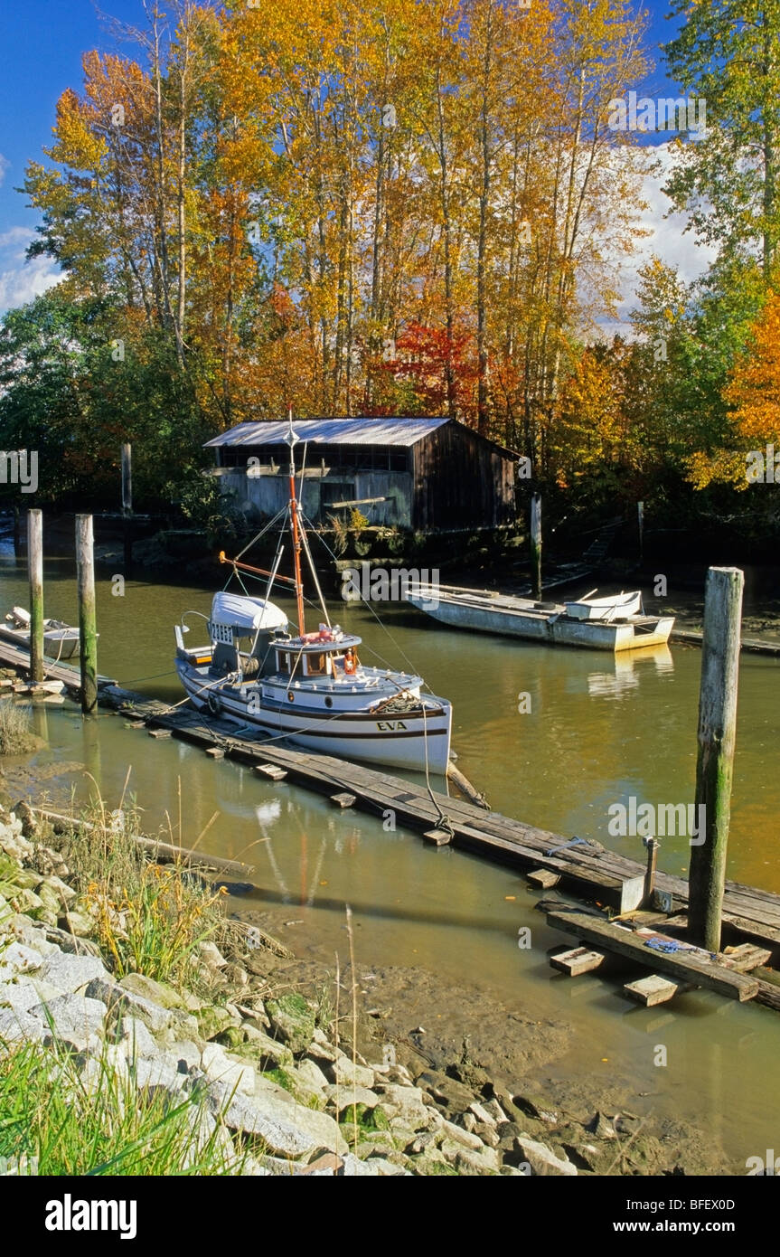 Columbia river slough hi-res stock photography and images - Alamy