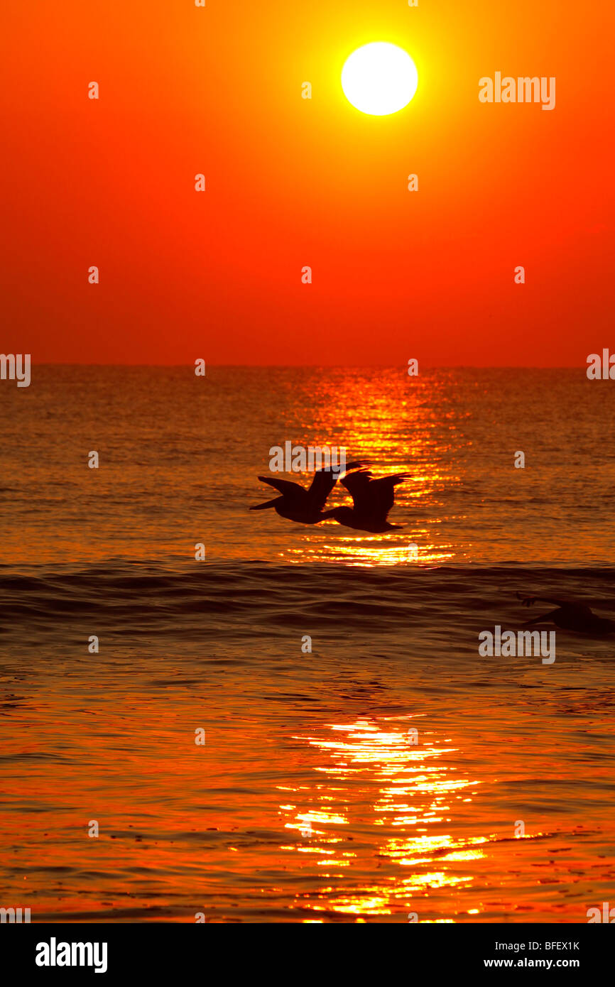 Sunrise at Carolina Beach, Cape Fear / Wilmington area, North Carolina ...