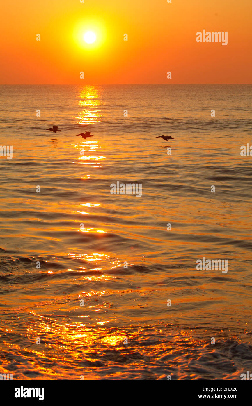Sunrise at Carolina Beach, Cape Fear / Wilmington area, North Carolina ...