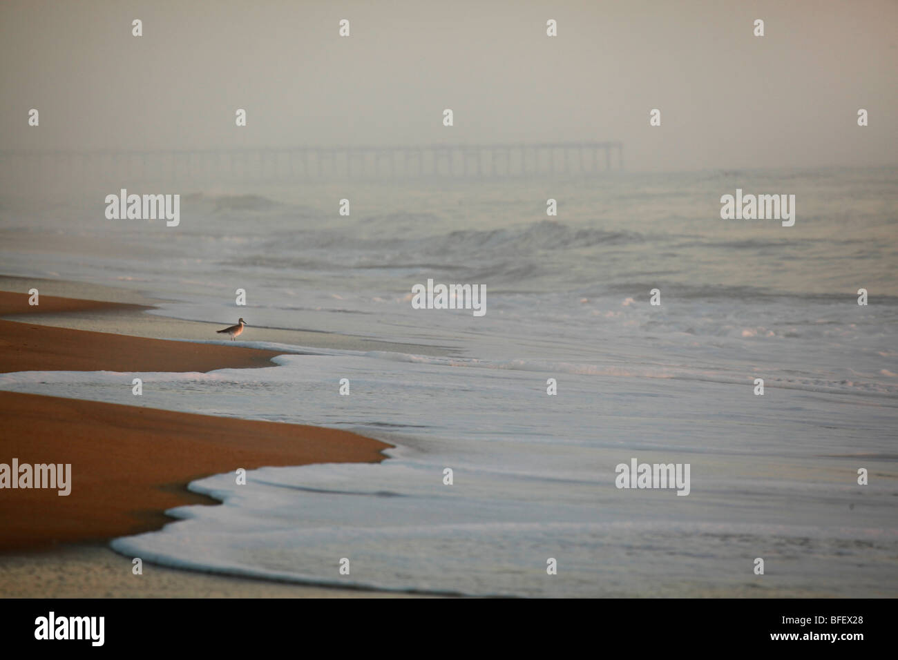 Sunrise at Carolina Beach, Cape Fear / Wilmington area, North Carolina ...