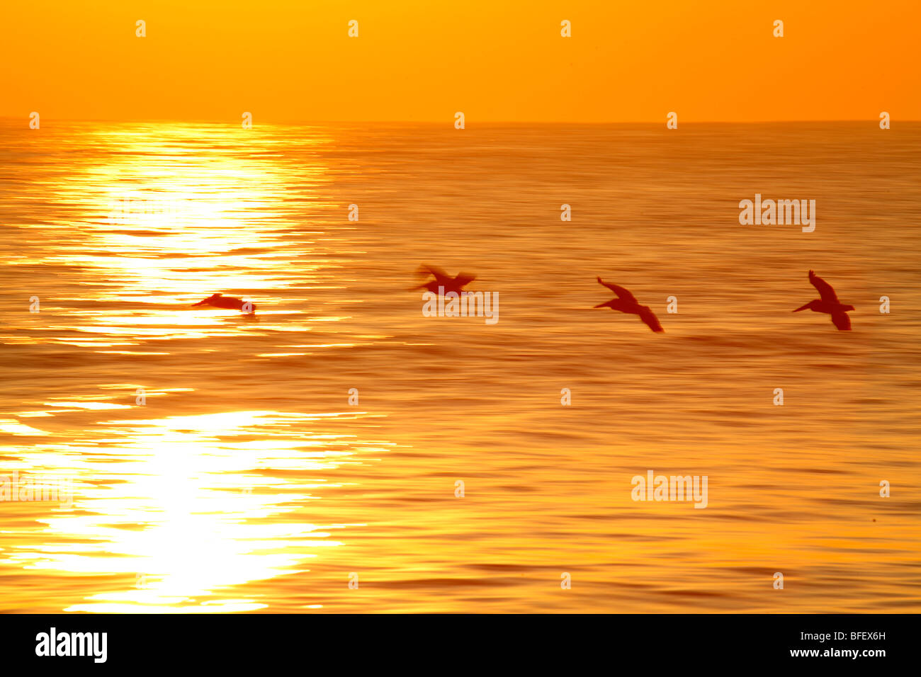 Sunrise at Carolina Beach, Cape Fear / Wilmington area, North Carolina ...