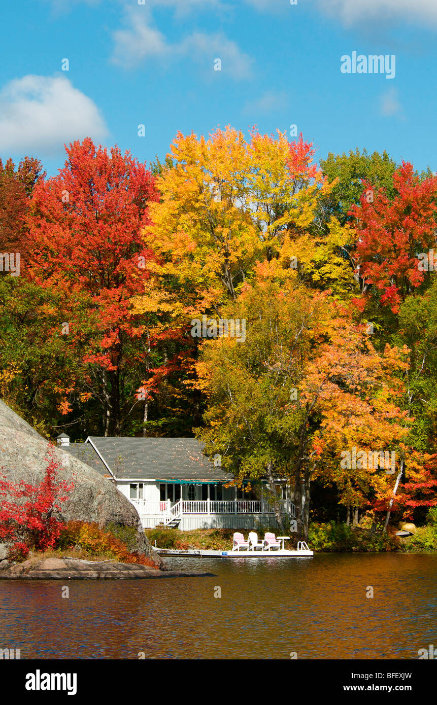 Cottage in woods fall foliage hi-res stock photography and images - Alamy